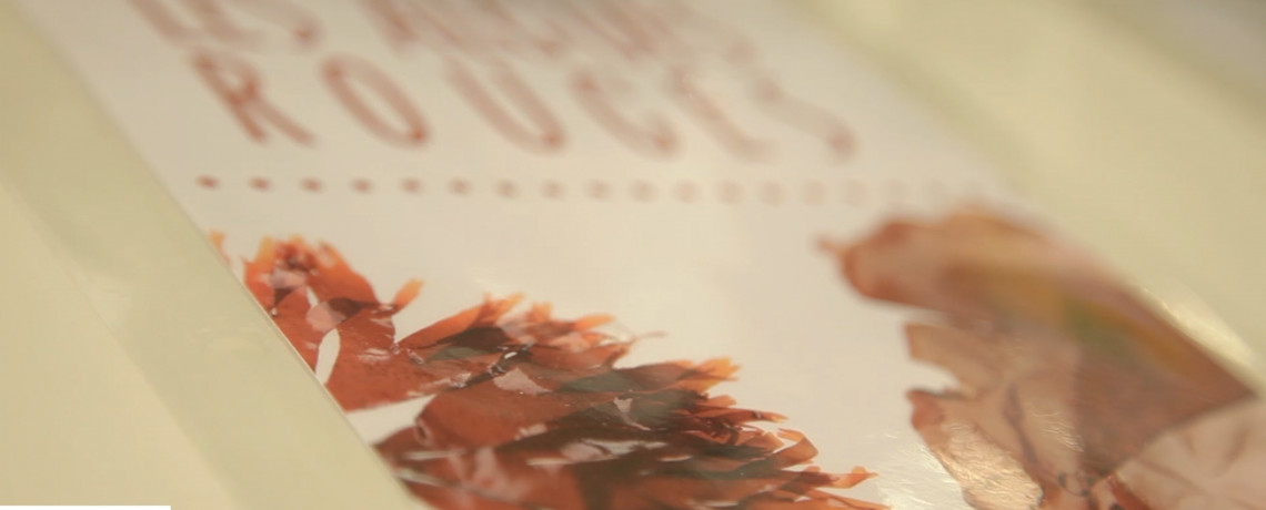 Oh les belles rouges ! - Food'Algues